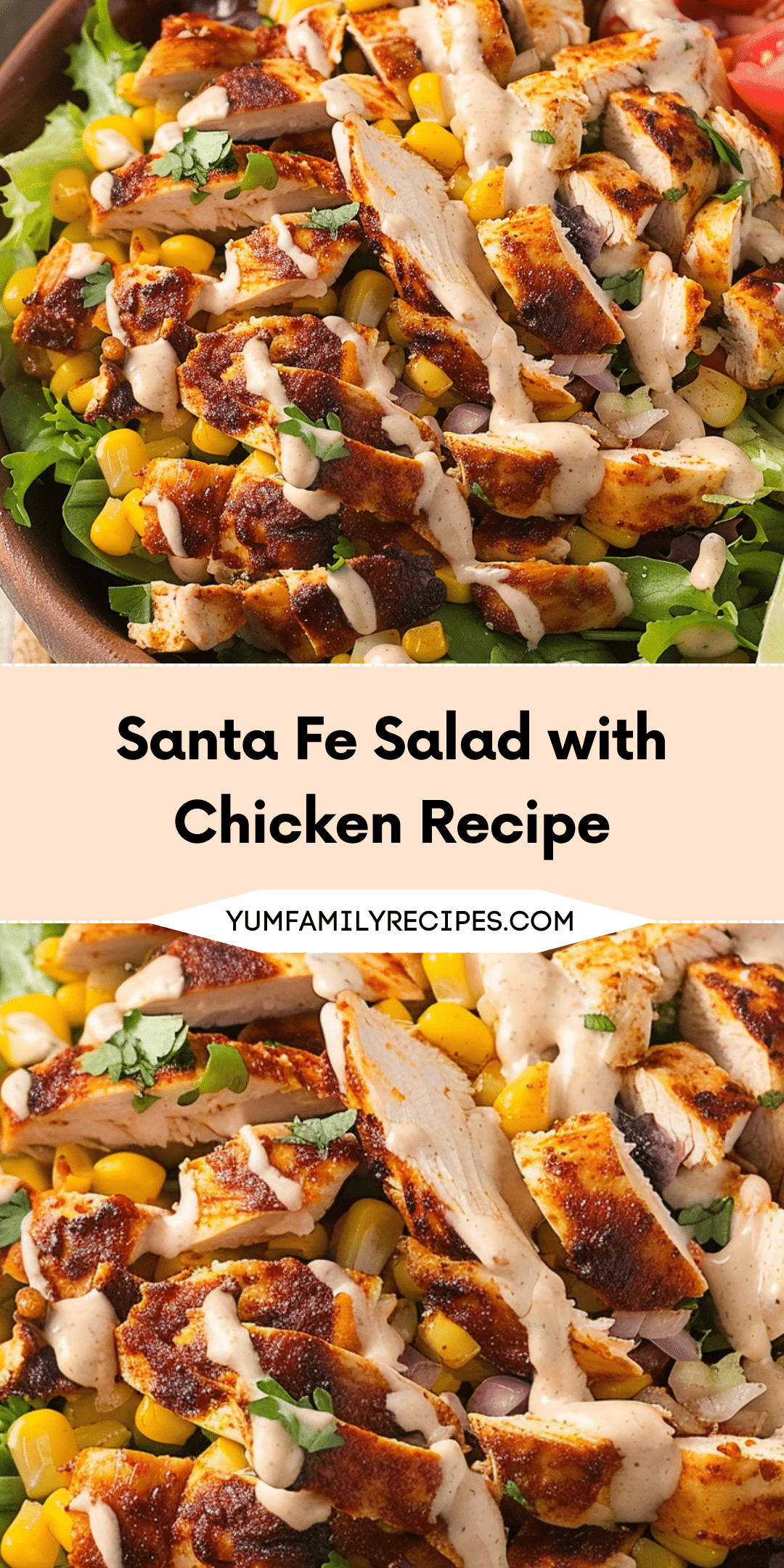 Santa Fe Salad with Chicken Recipe | Yum Family Recipes