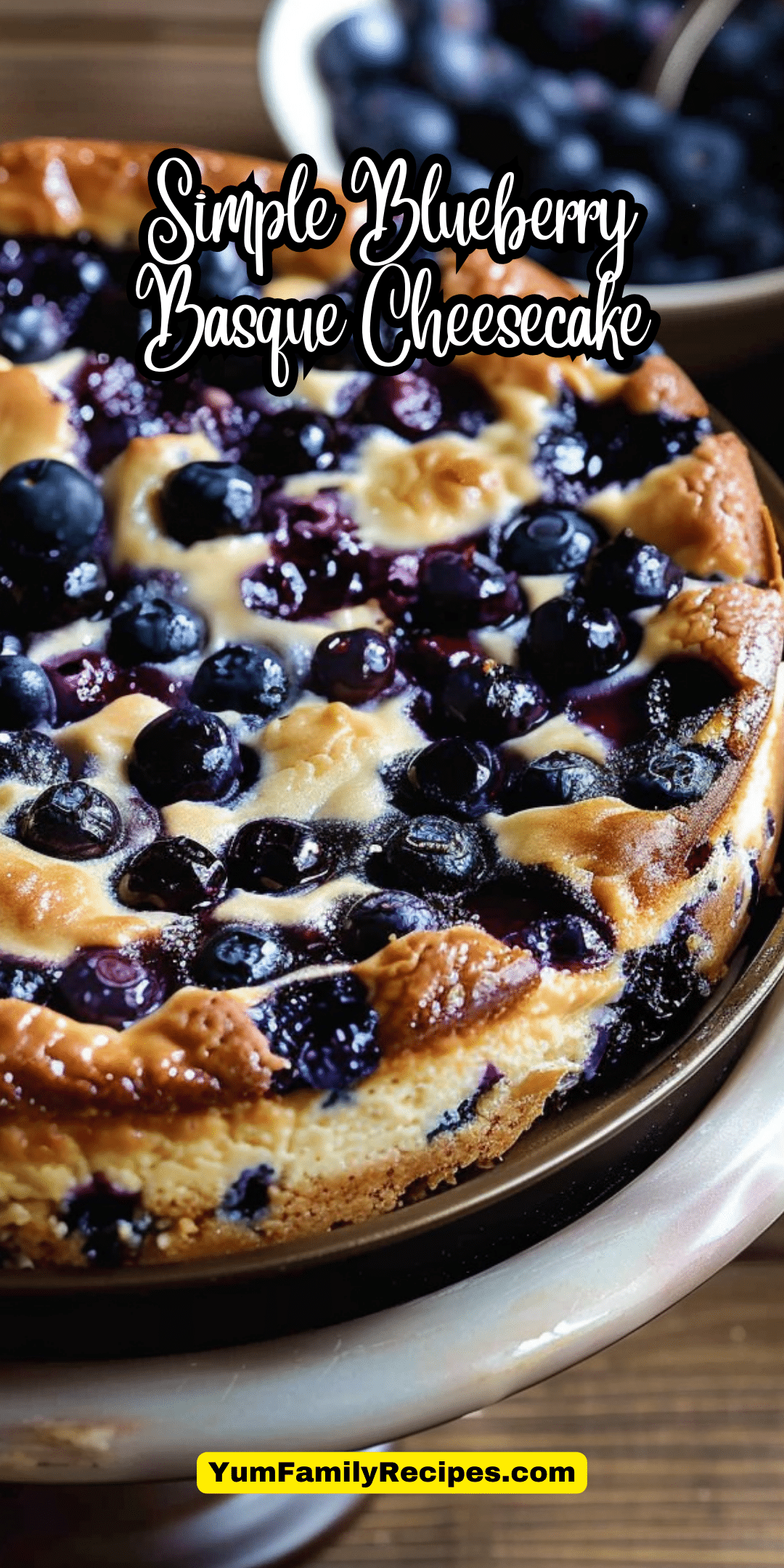 Simple Blueberry Basque Cheesecake | Yum Family Recipes