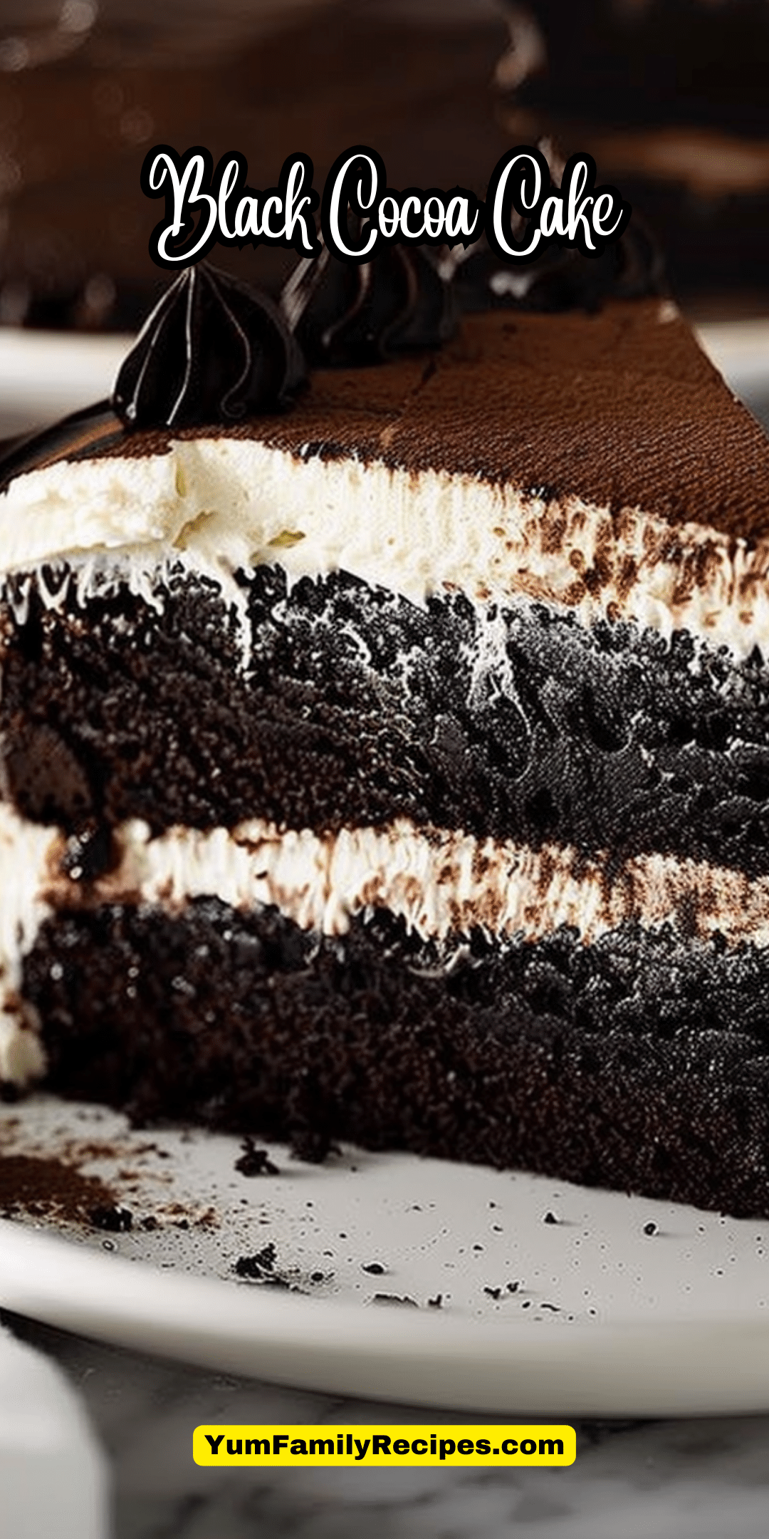 Black Cocoa Cake | Yum Family Recipes