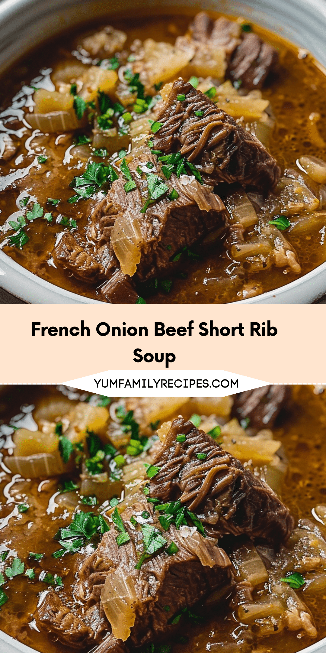 French Onion Beef Short Rib Soup | Yum Family Recipes