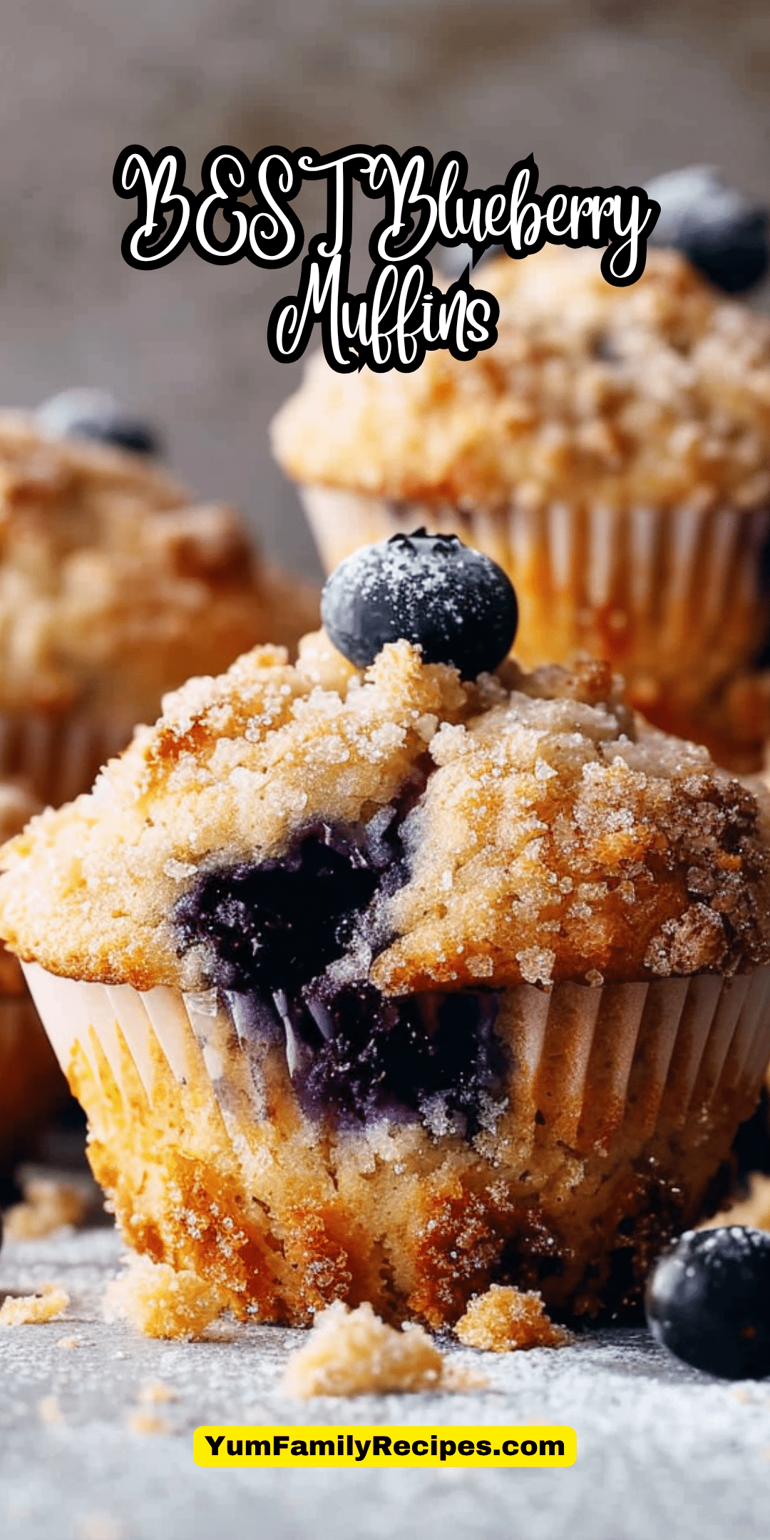 BEST Blueberry Muffins | Yum Family Recipes