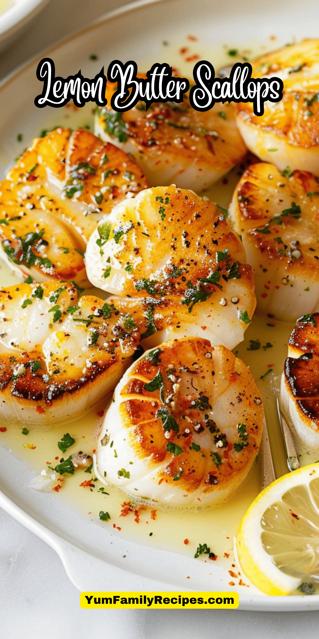 Lemon Butter Scallops | Yum Family Recipes