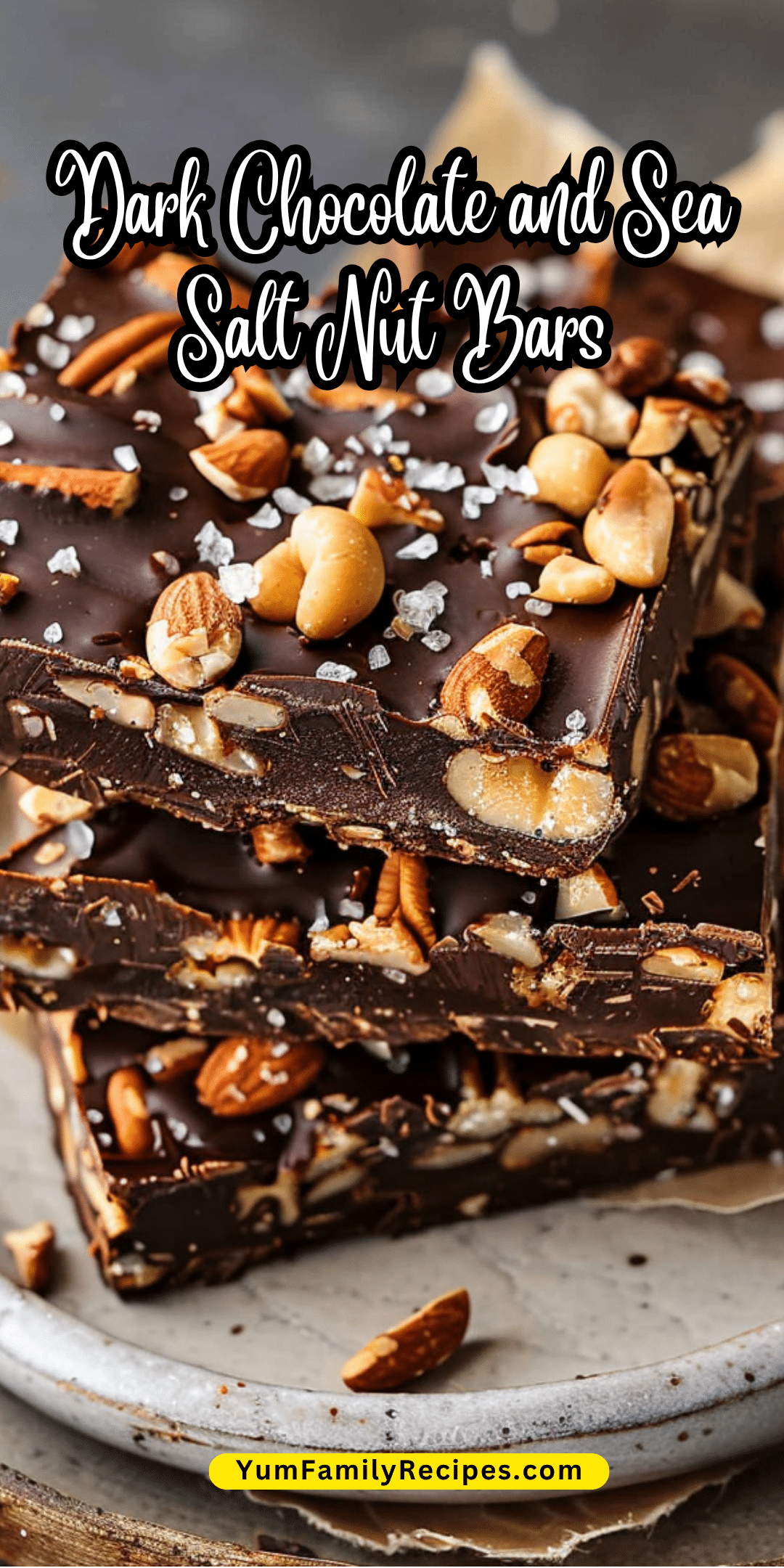 Dark Chocolate and Sea Salt Nut Bars | Yum Family Recipes