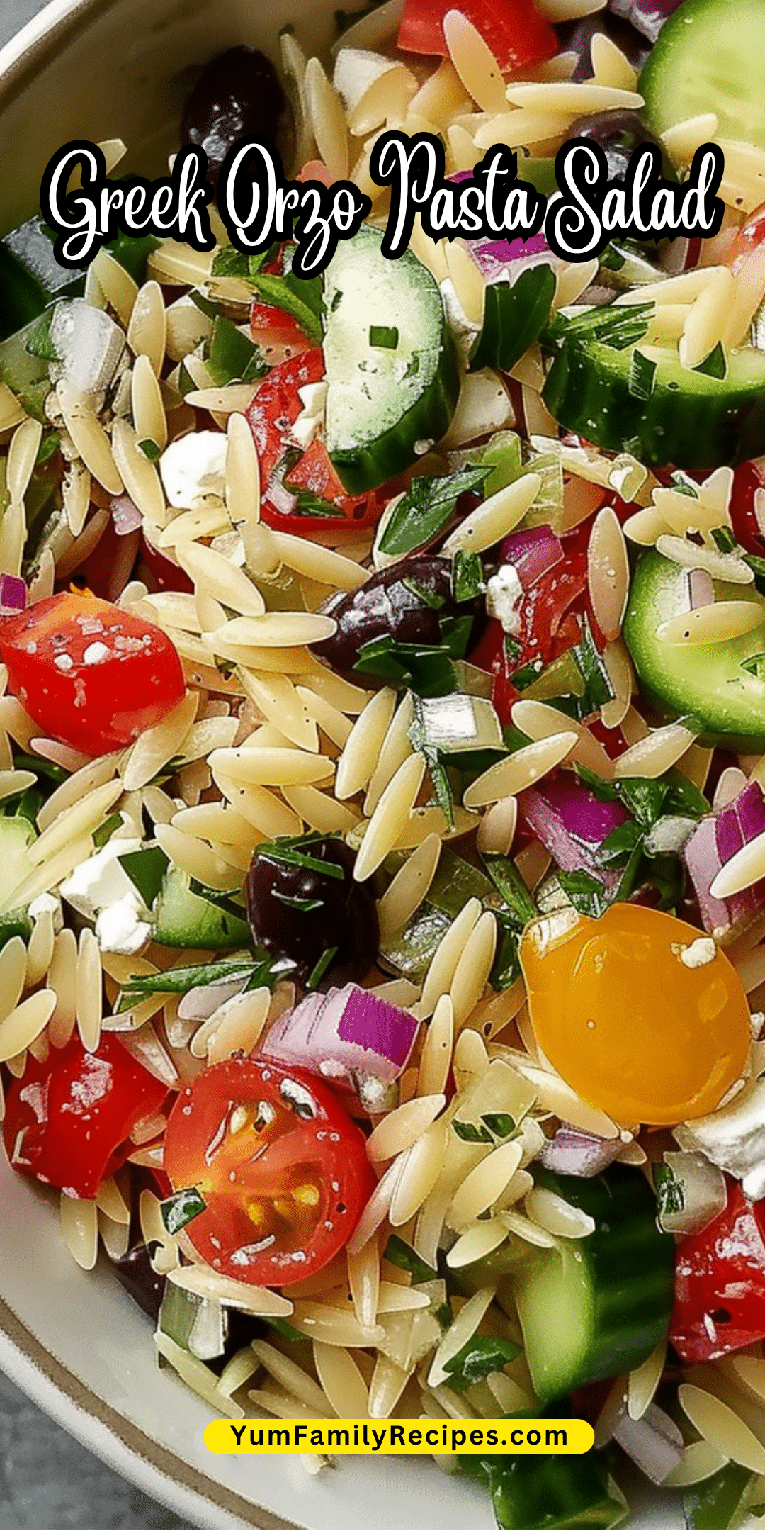 Greek Orzo Pasta Salad | Yum Family Recipes