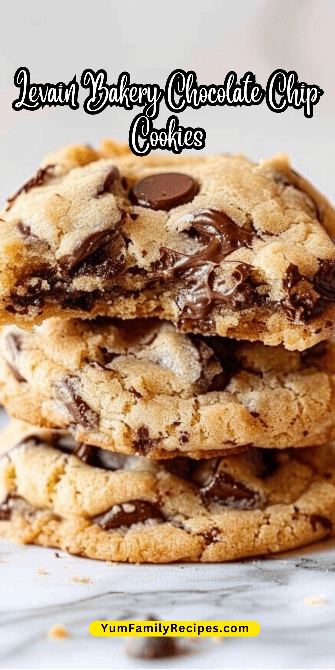Levain Bakery Chocolate Chip Cookies | Yum Family Recipes