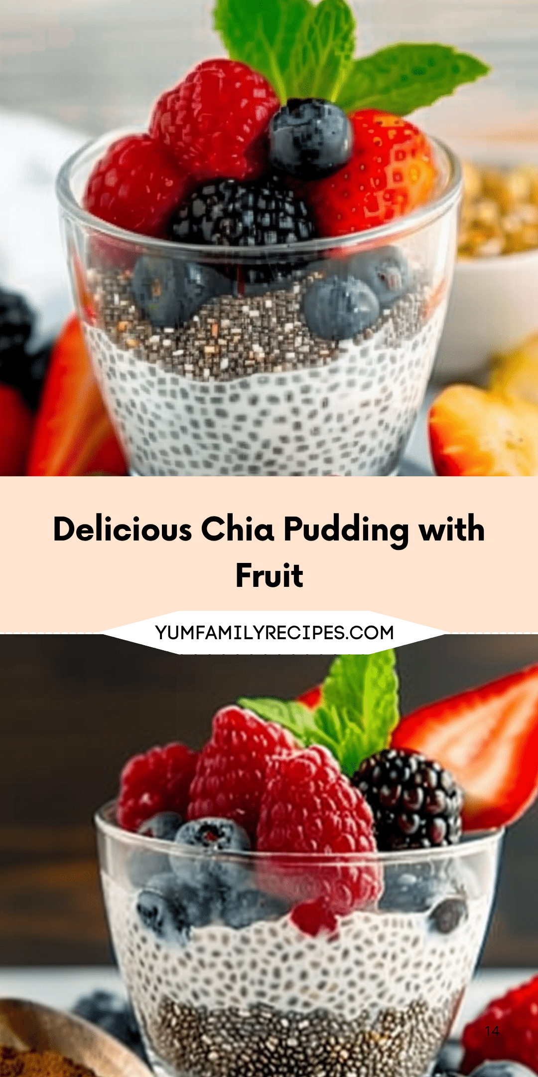 Delicious Chia Pudding with Fruit | Yum Family Recipes