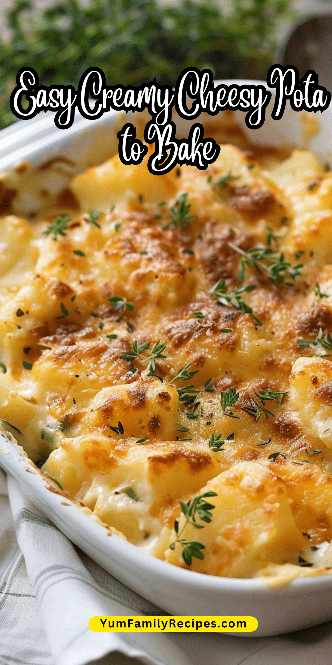 Easy Creamy Cheesy Potato Bake | Yum Family Recipes