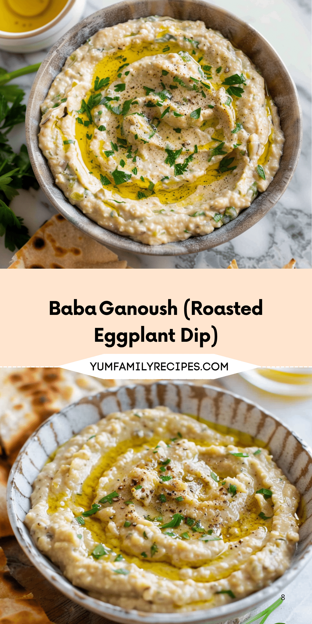 Baba Ganoush (Roasted Eggplant Dip) | Yum Family Recipes