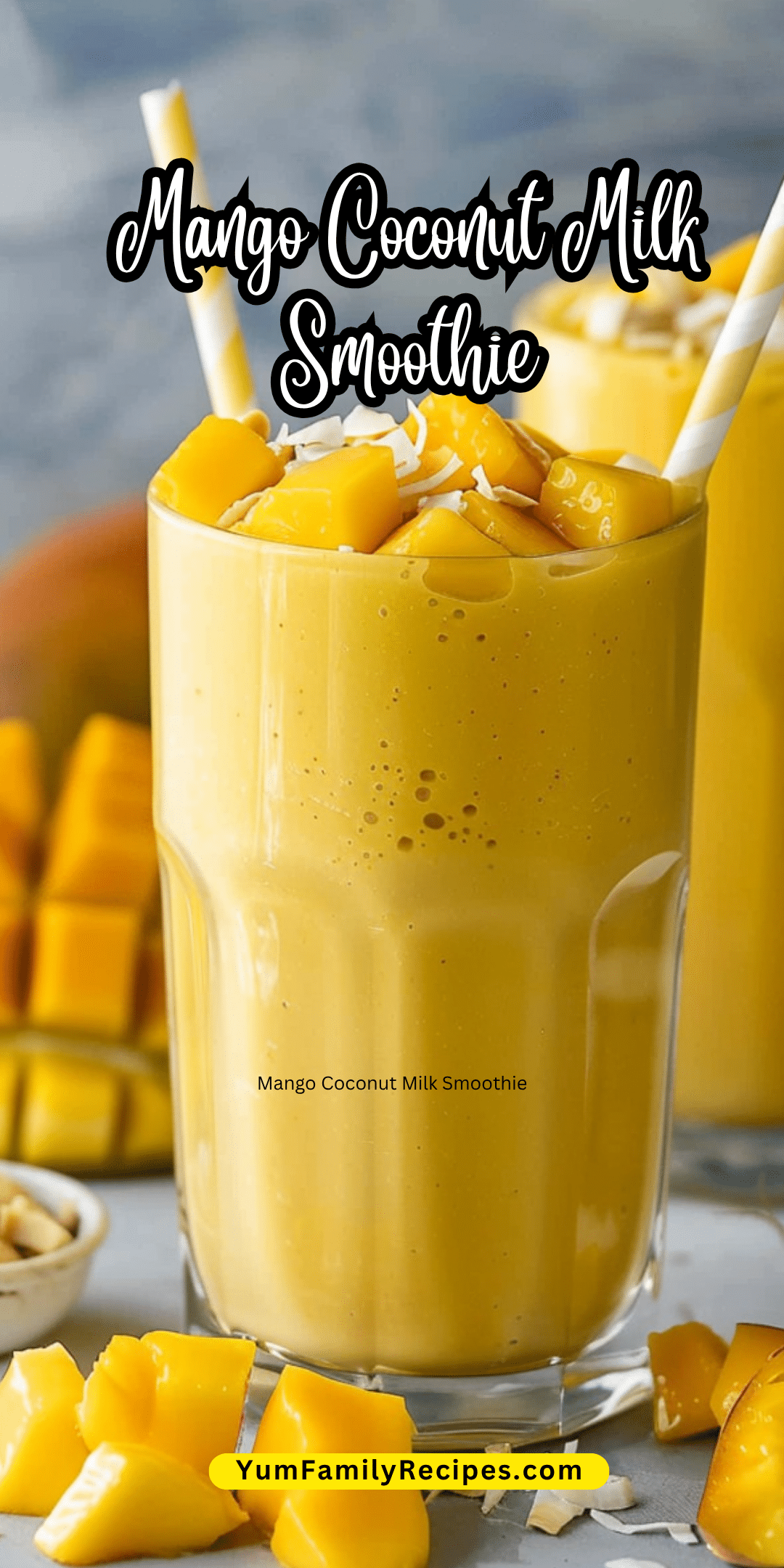 Mango Coconut Milk Smoothie | Yum Family Recipes