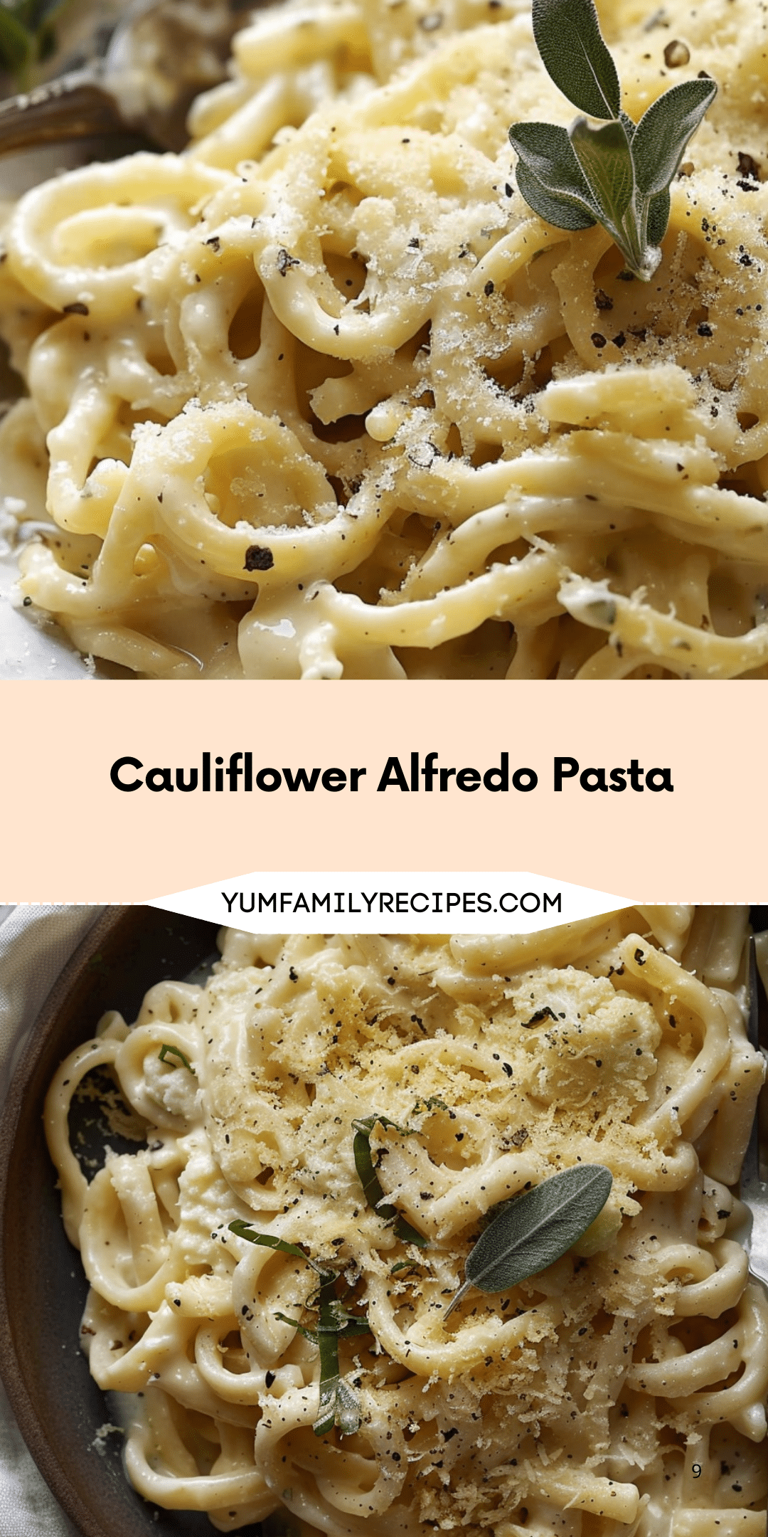 Cauliflower Alfredo Pasta | Yum Family Recipes