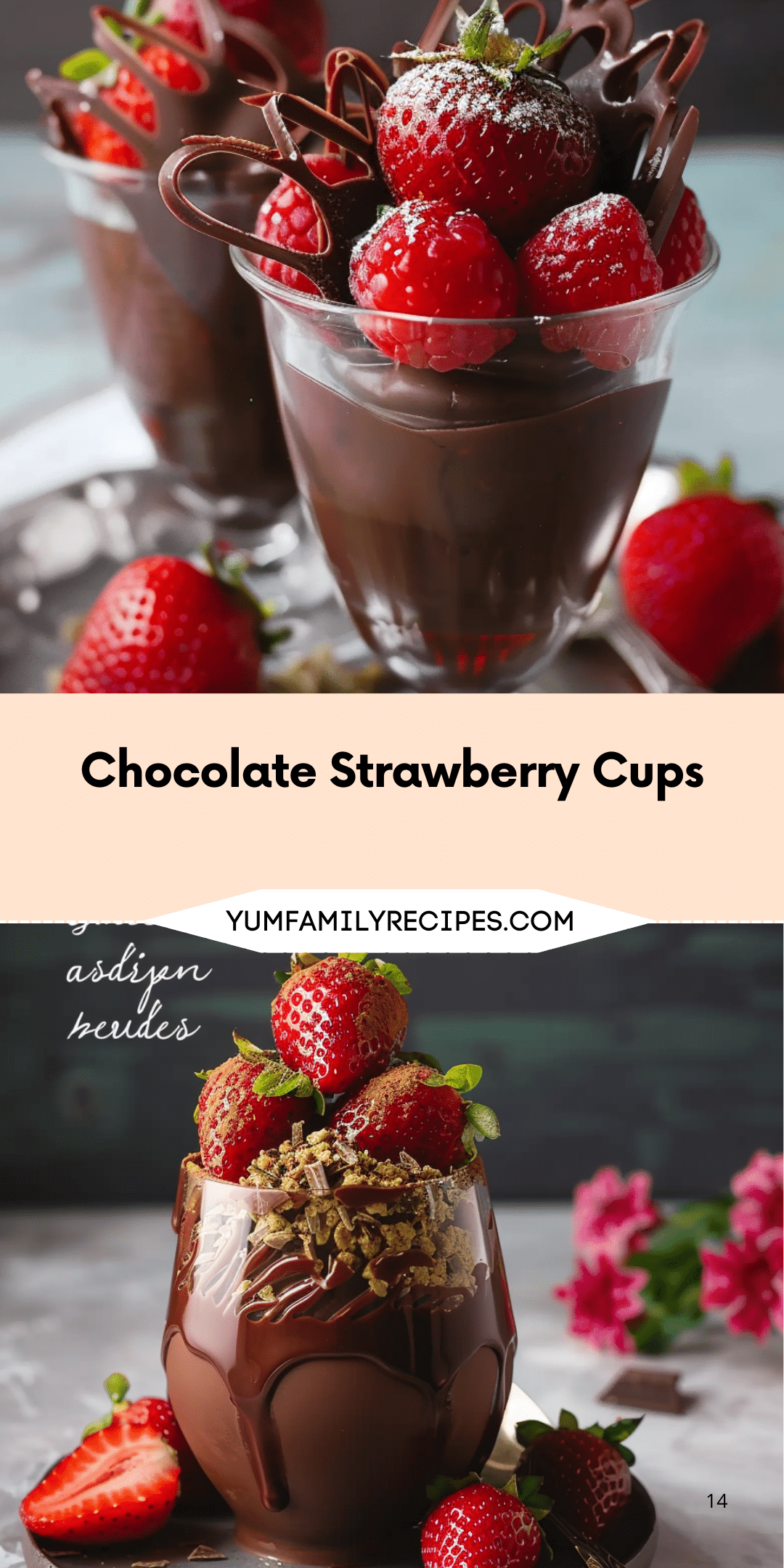 Chocolate Strawberry Cups | Yum Family Recipes