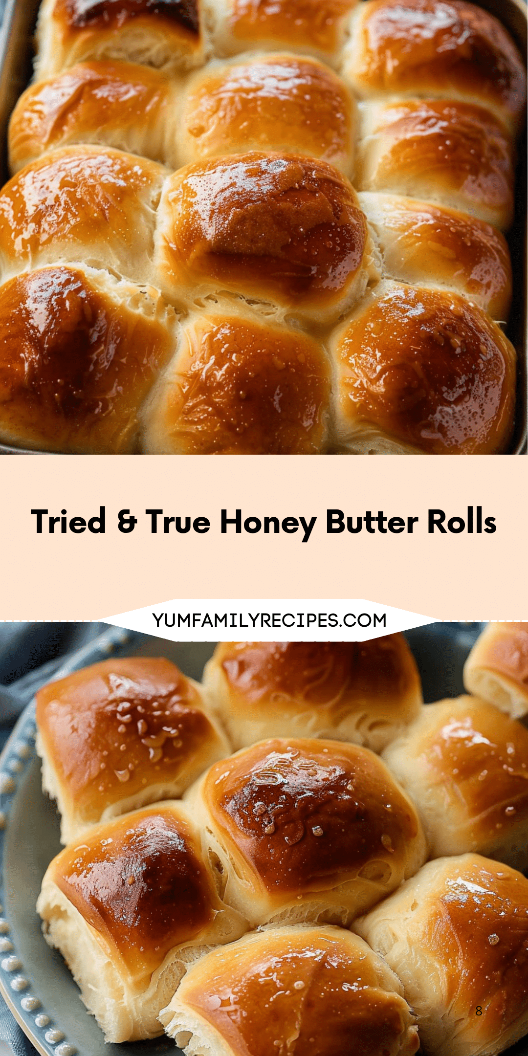 Tried & True Honey Butter Rolls | Yum Family Recipes