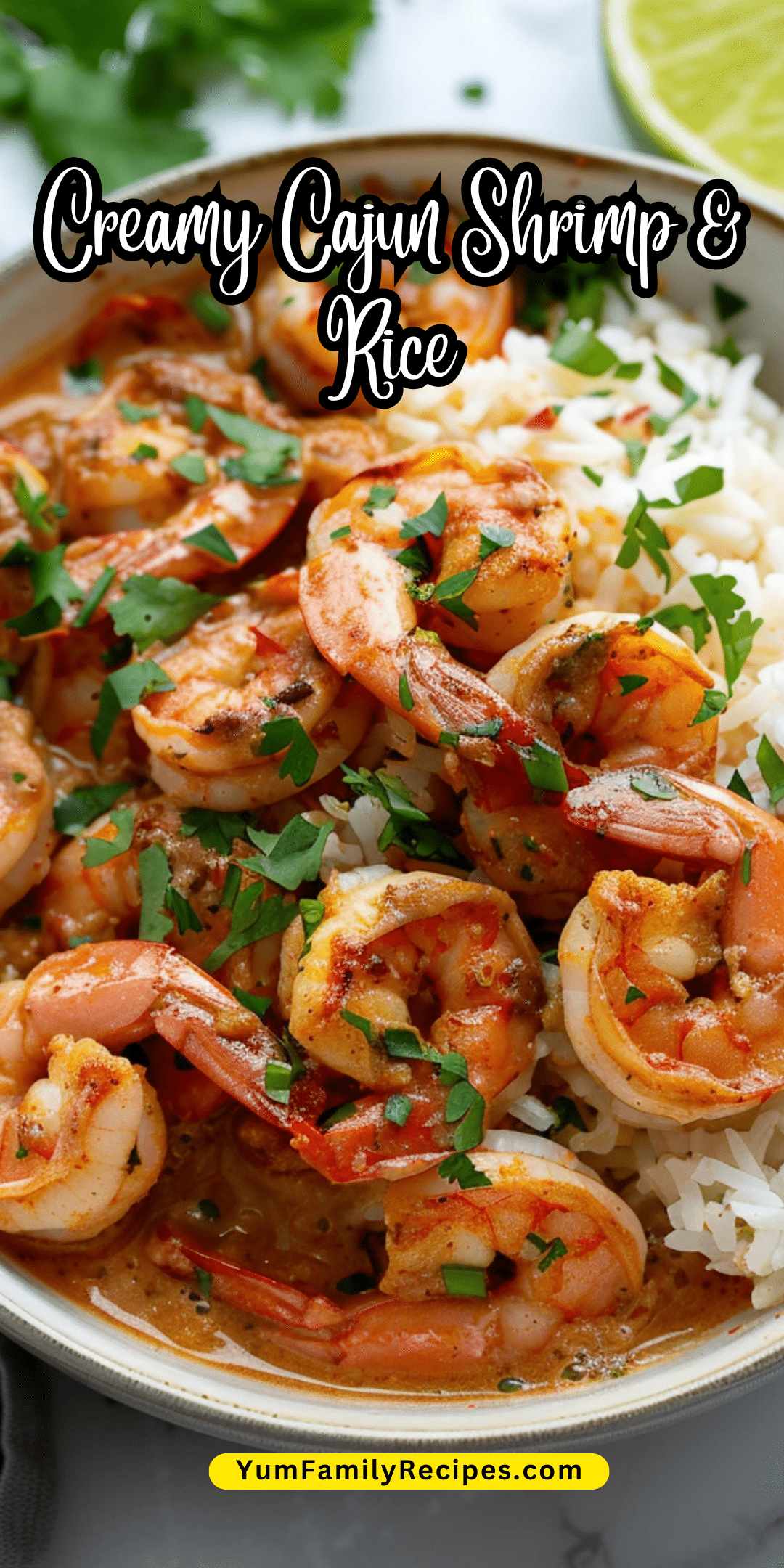 Creamy Cajun Shrimp & Rice | Yum Family Recipes
