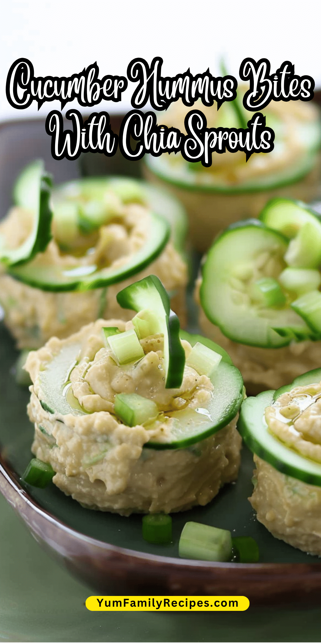 Cucumber Hummus Bites With Chia Sprouts | Yum Family Recipes