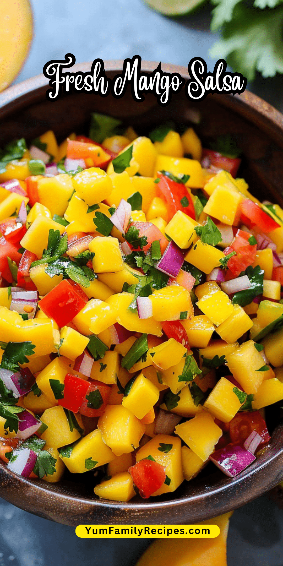 Fresh Mango Salsa | Yum Family Recipes