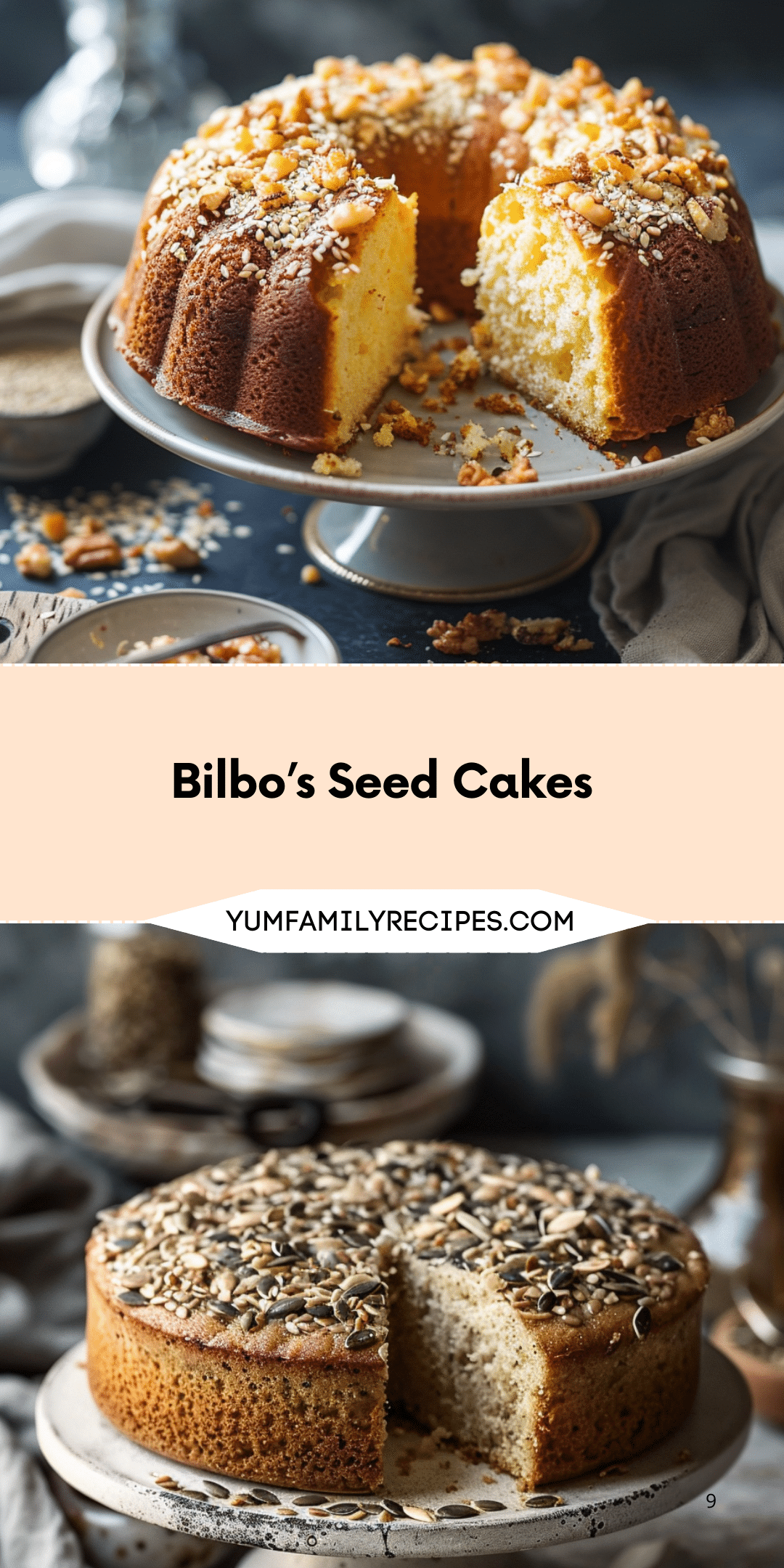 Bilbo’s Seed Cakes | Yum Family Recipes
