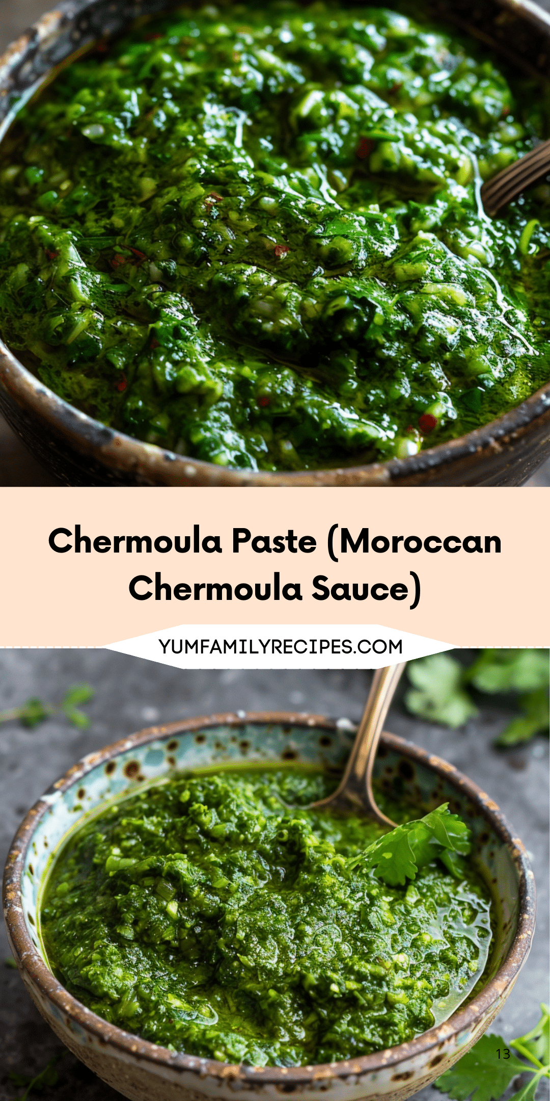 Chermoula Paste (Moroccan Chermoula Sauce) | Yum Family Recipes
