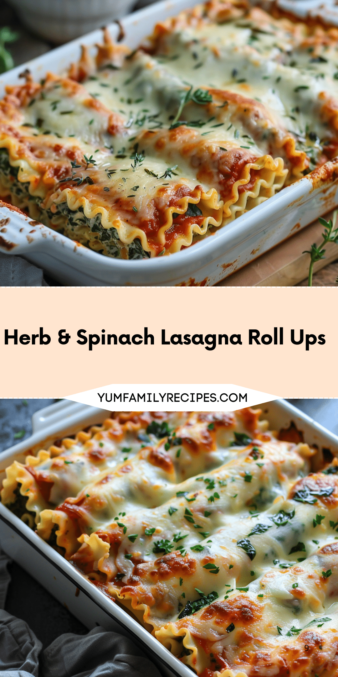Herb & Spinach Lasagna Roll Ups | Yum Family Recipes