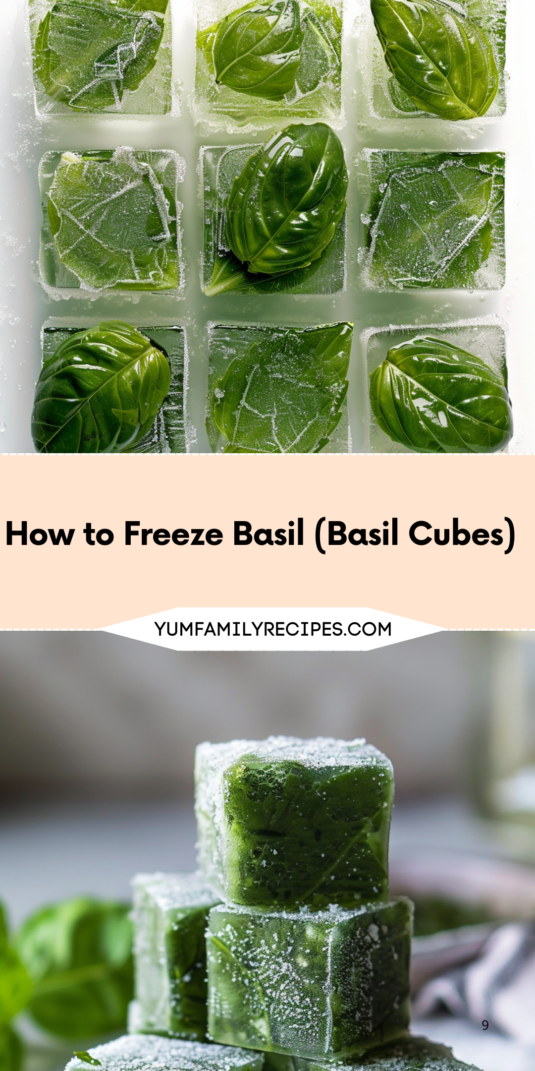 How to Freeze Basil (Basil Cubes) | Yum Family Recipes