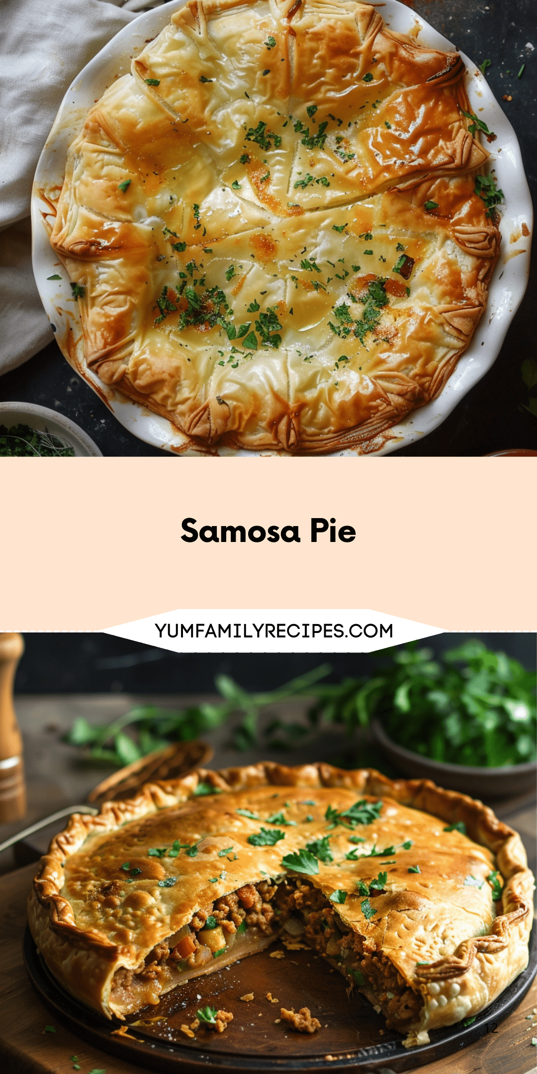Samosa Pie | Yum Family Recipes