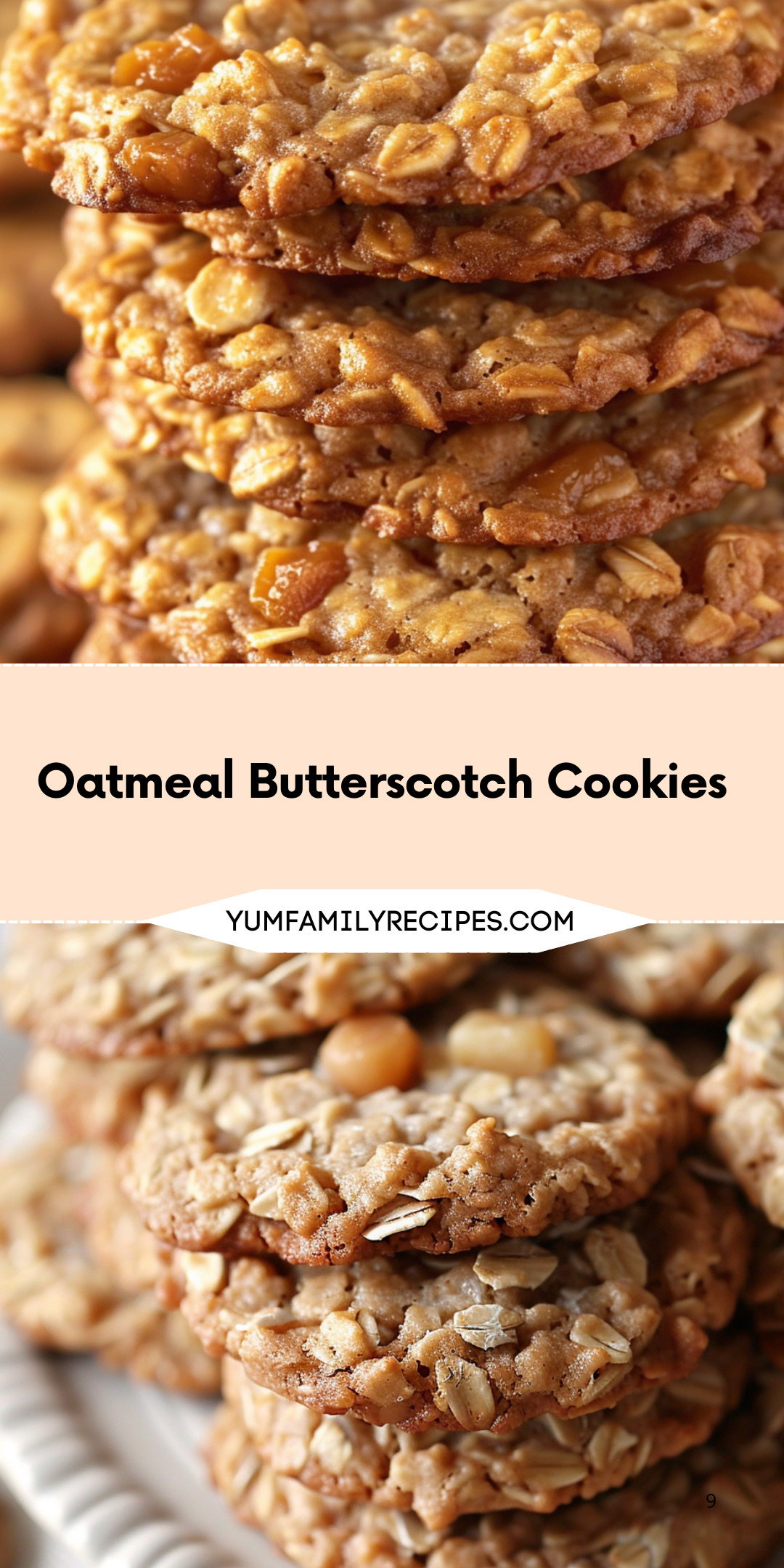 Oatmeal Butterscotch Cookies | Yum Family Recipes