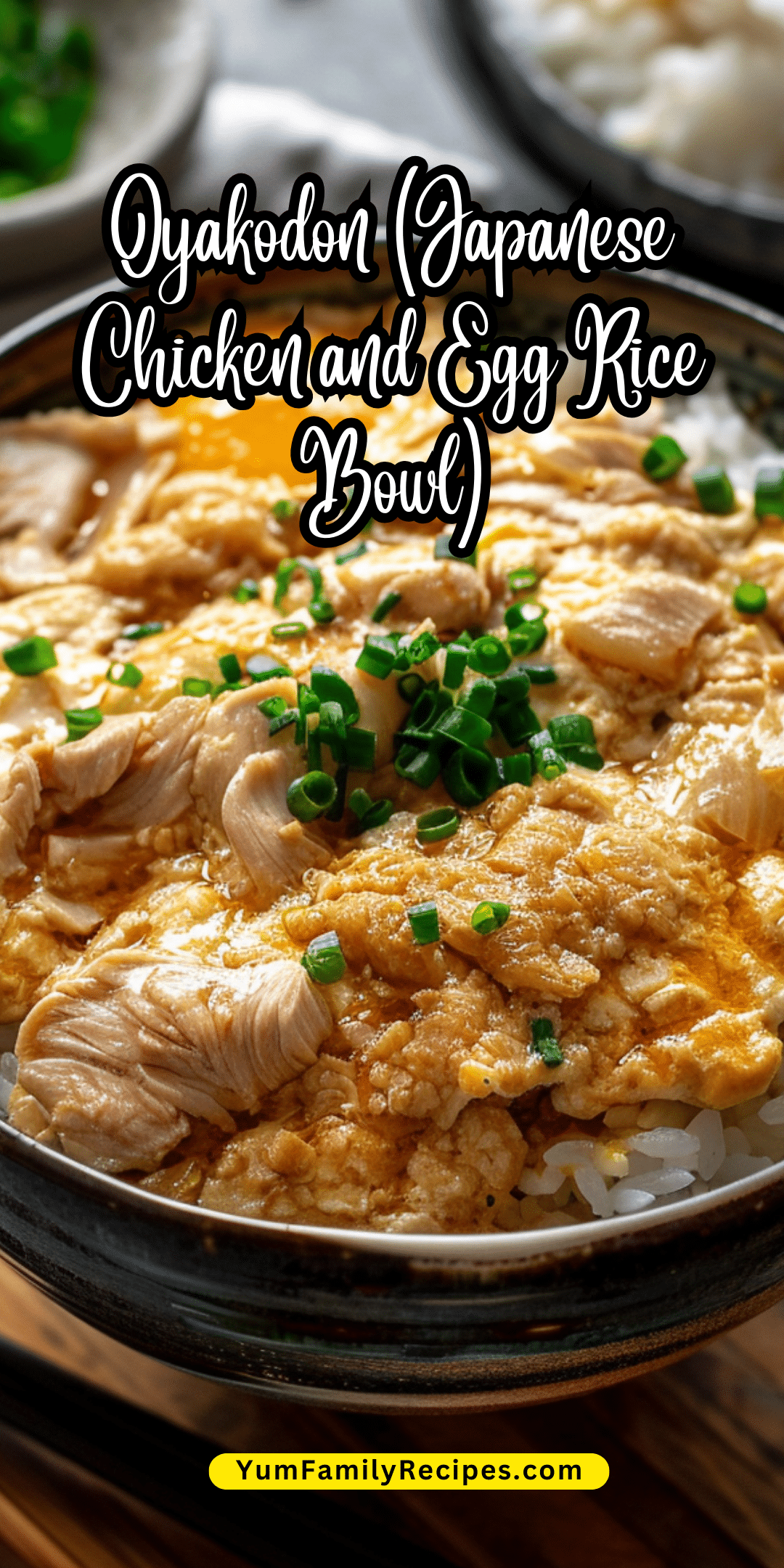 Oyakodon (Japanese Chicken and Egg Rice Bowl) | Yum Family Recipes
