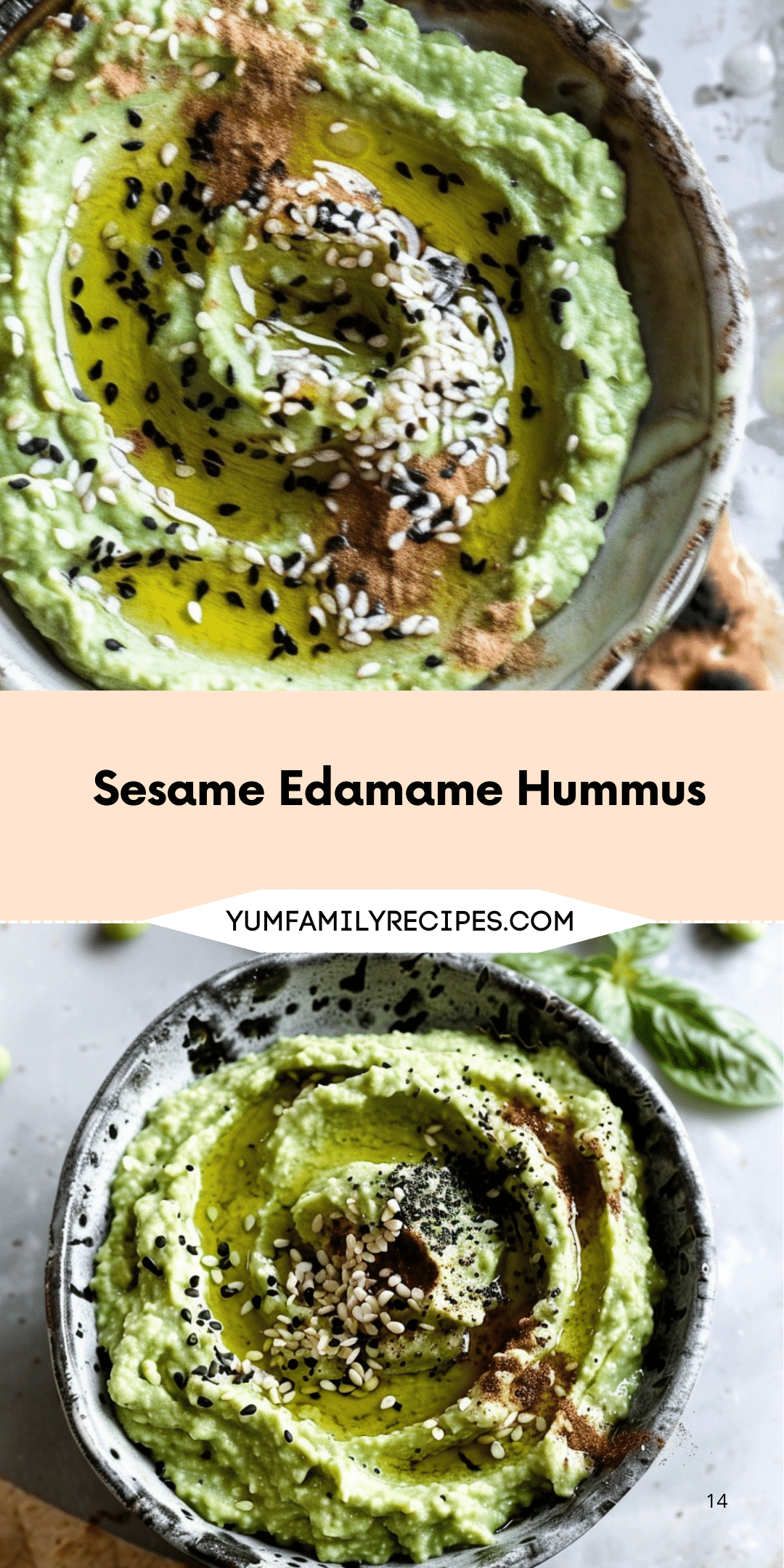 Sesame Edamame Hummus | Yum Family Recipes