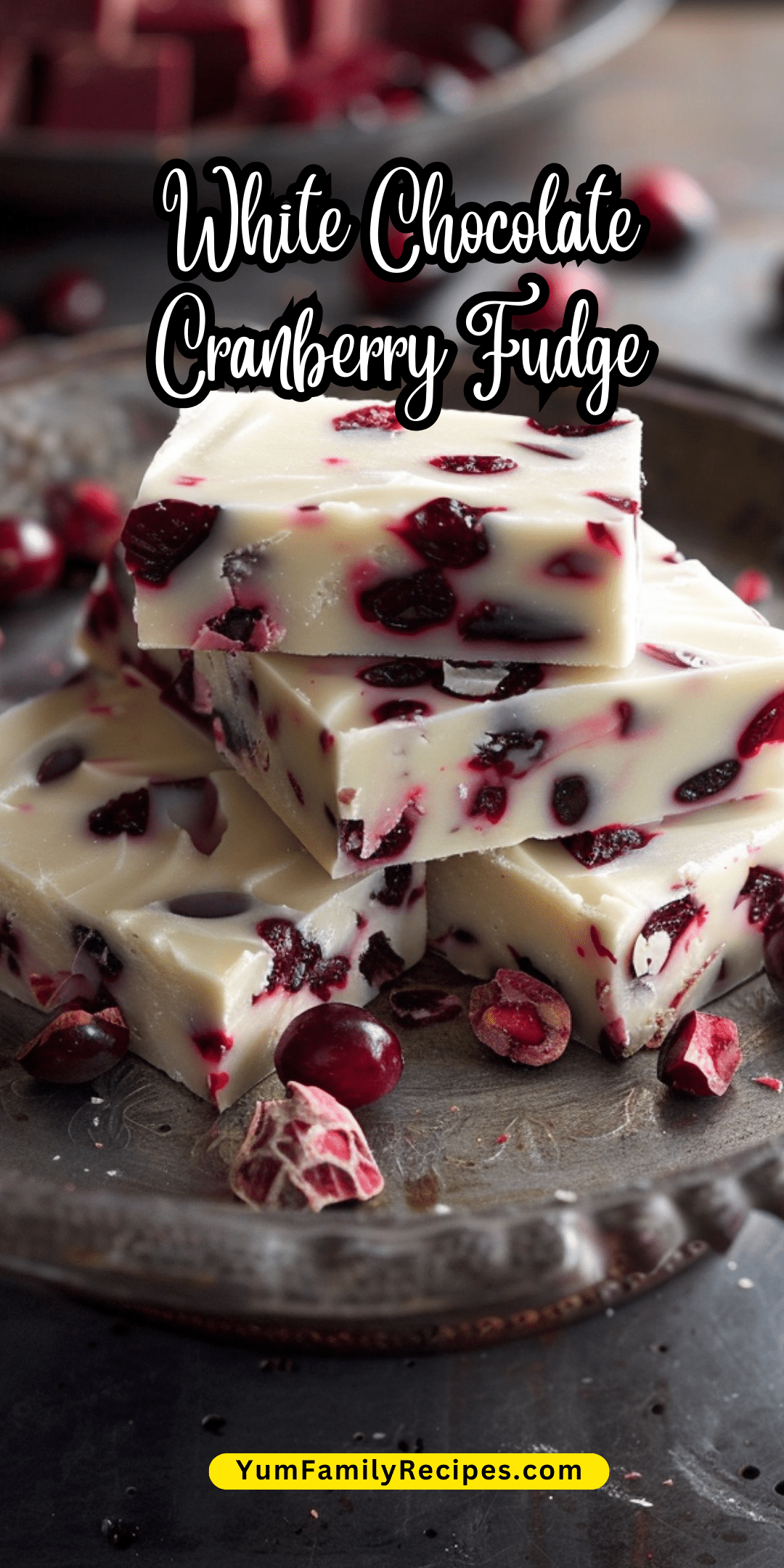 White Chocolate Cranberry Fudge | Yum Family Recipes
