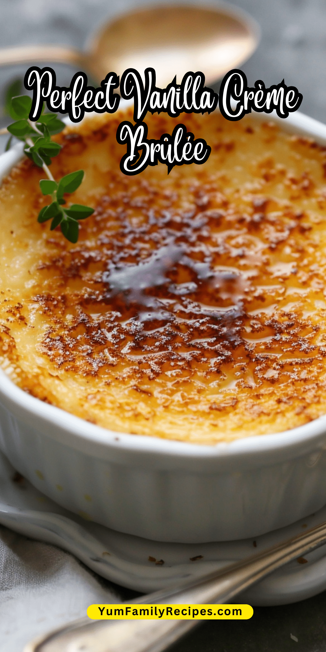 Perfect Vanilla Crème Brûlée | Yum Family Recipes