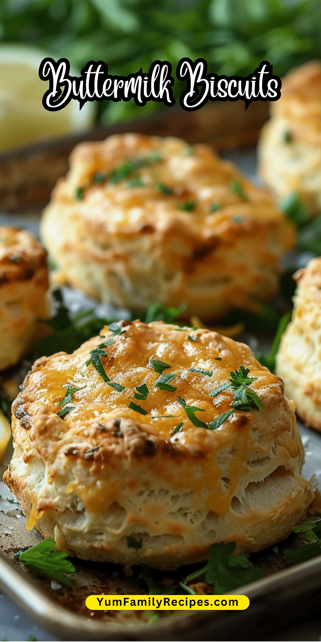 Classic Buttermilk Biscuits | Yum Family Recipes