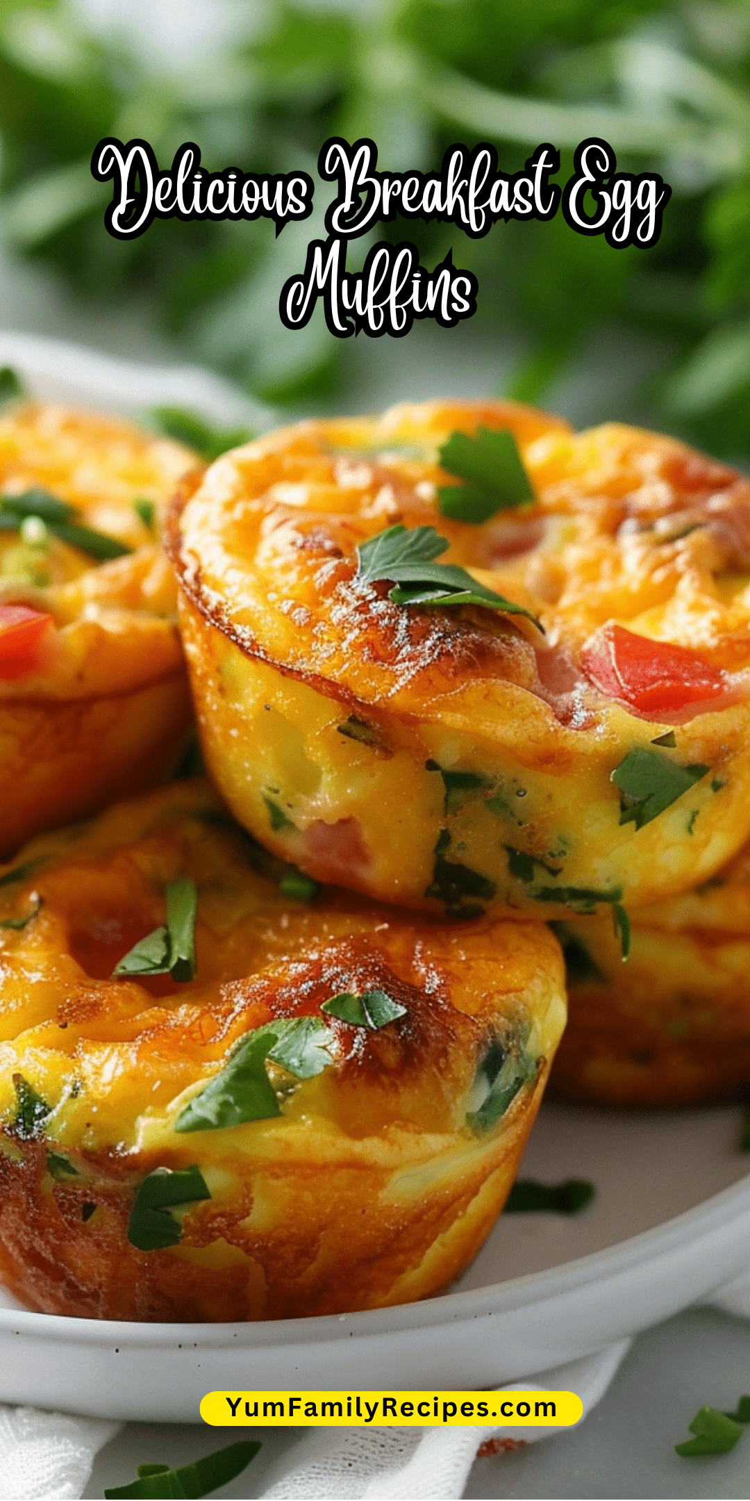 Delicious Breakfast Egg Muffins | Yum Family Recipes