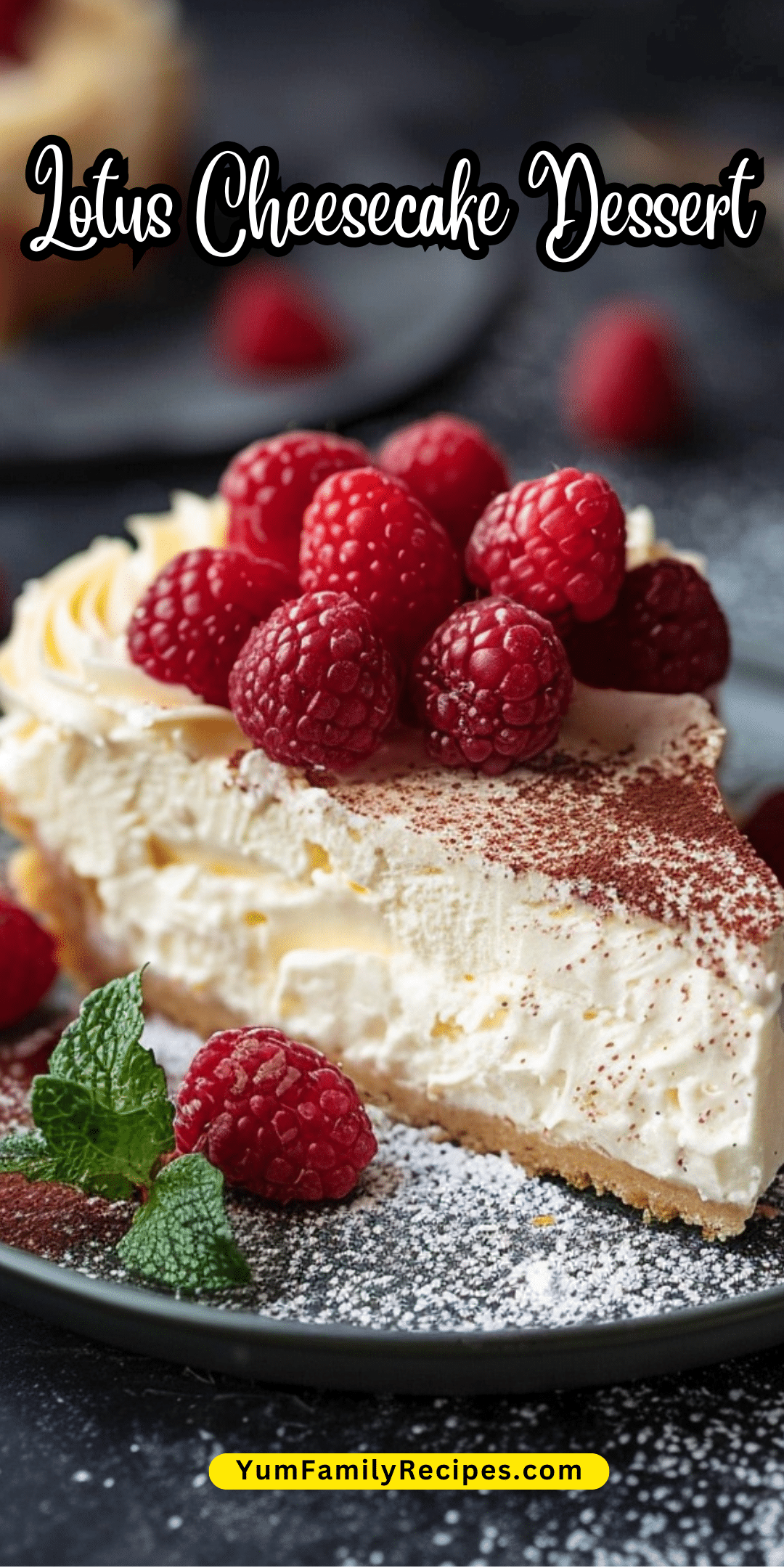 Lotus Cheesecake Dessert | Yum Family Recipes
