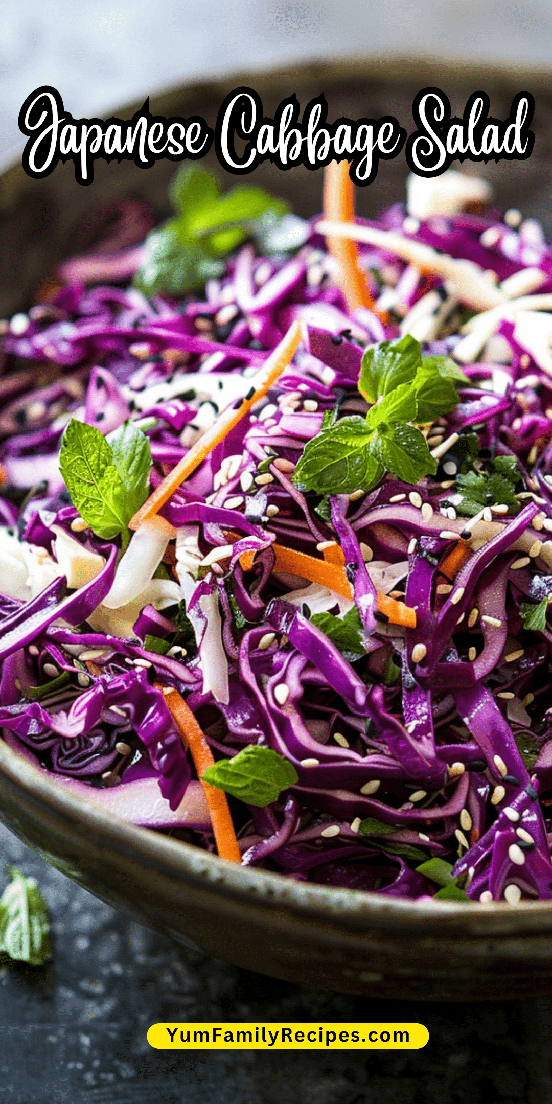 Japanese Cabbage Salad | Yum Family Recipes